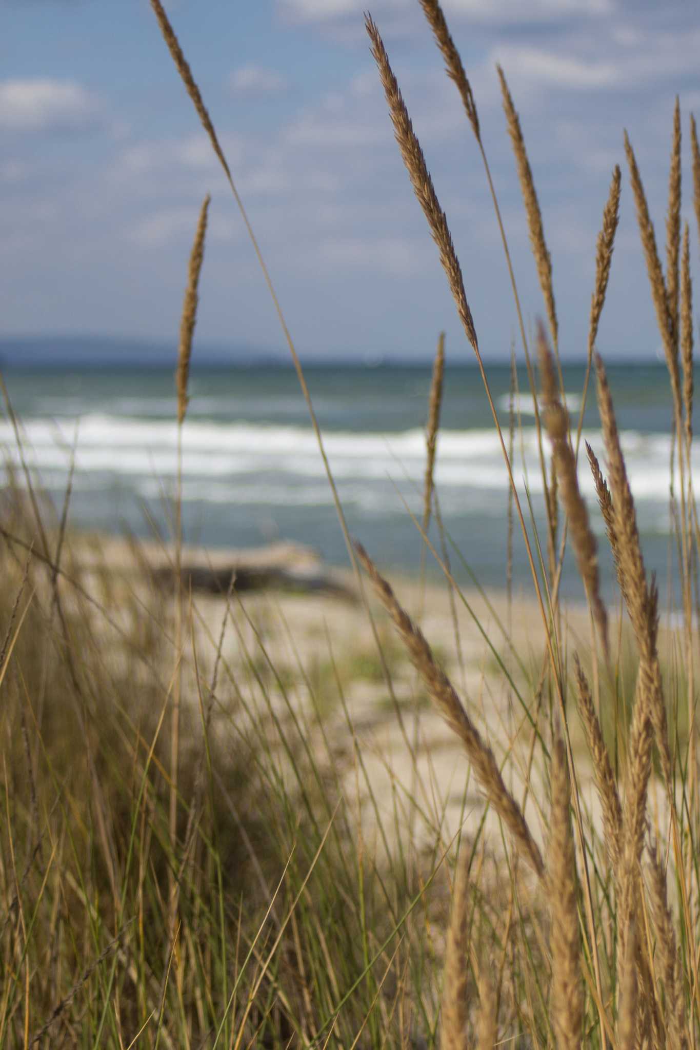 Perisor Wild Beach - Descoperiți frumusețea neîmblânzită a Deltei Dunării