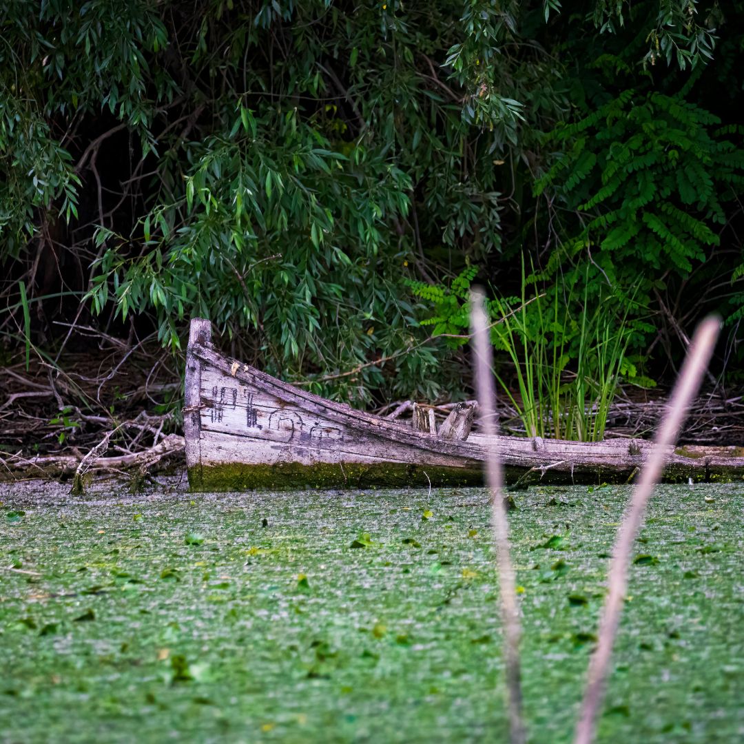 Mila 23 Village in the Danube Delta | Explore Lipovan Heritage at ...