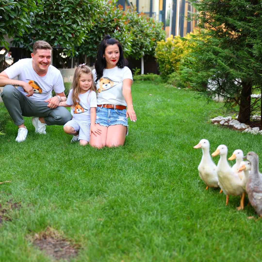 One Day Excursions - Explore the Wonders of the Danube Delta | Lebada ...