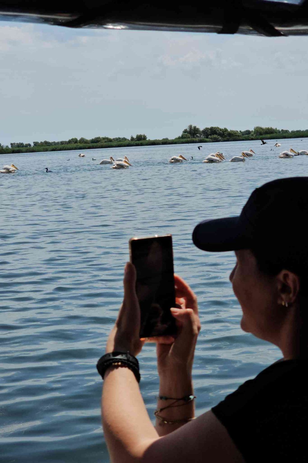 One Day Excursions - Explore the Wonders of the Danube Delta | Lebada ...