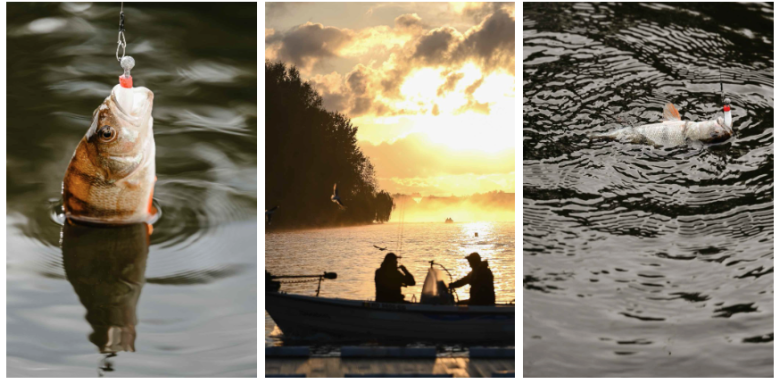 Schengen: Fishing in Romania’s Danube Delta | Lebada