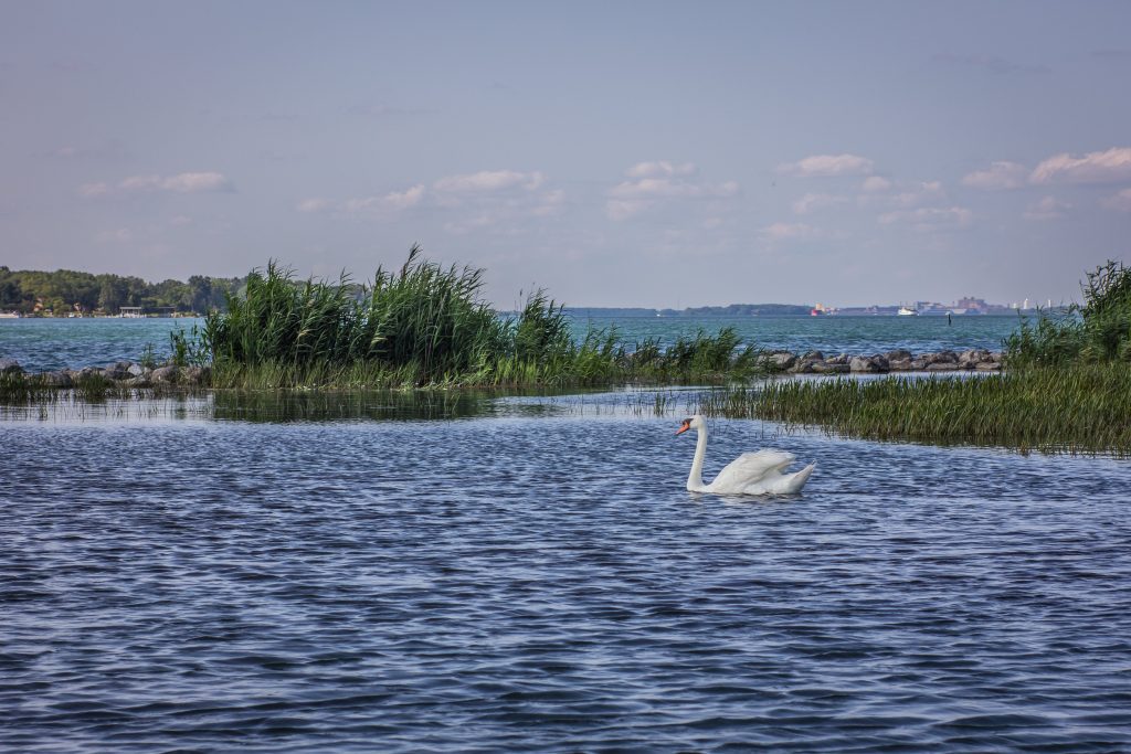 5 Reasons to choose a Danube Delta trip | Lebada Resort
