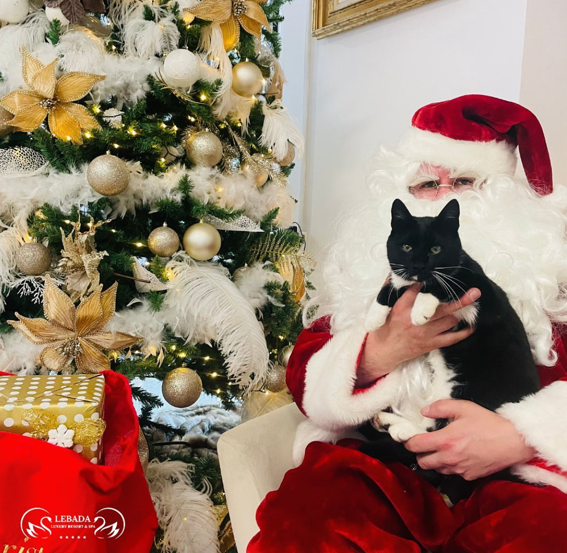 Christmas in the Danube Delta - Lebada Luxury Resort & SPA