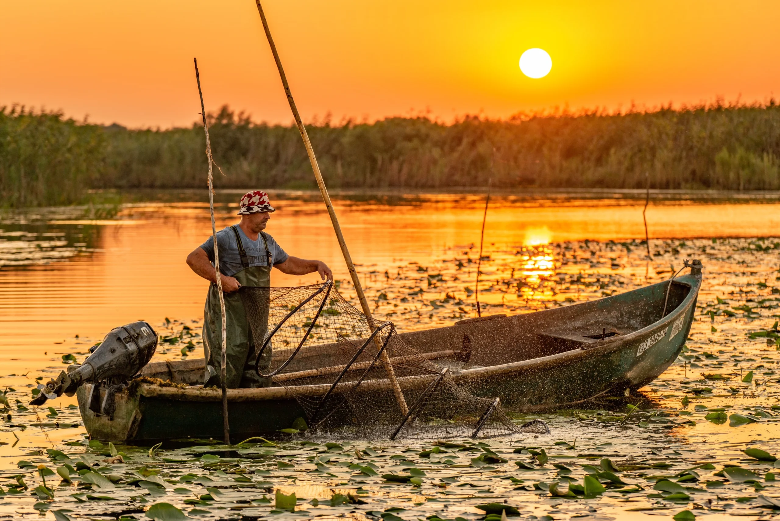 Danube Delta Fishing Permit Is ANPA Being Disbanded | Lebăda